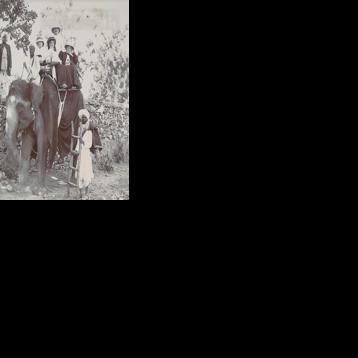 The Cone sisters' art exhibit arrives in Blowing Rock | News ...