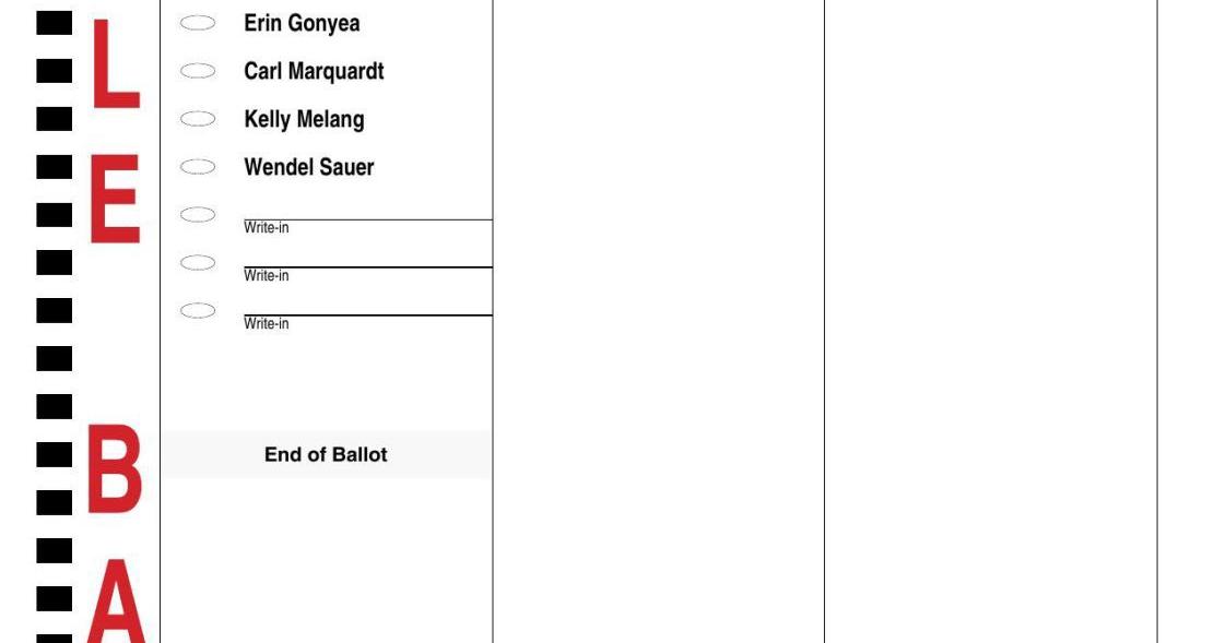 Sample ballots for the 2019 municipal elections | Election ...