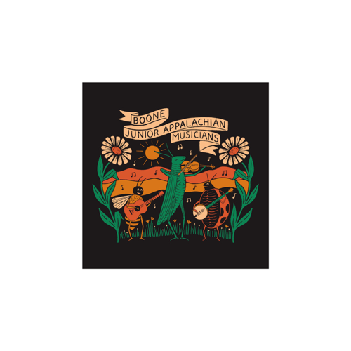 Boone JAM Fall recital being held Dec. 10 at App Theatre | Mountain ...