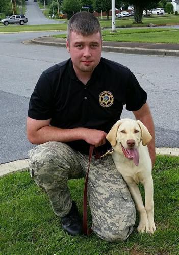 Avery deputy won't face disciplinary action in K9's death ...