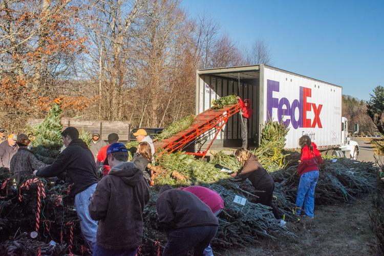 Local Christmas tree growers donate to Trees for Troops | Local News ...