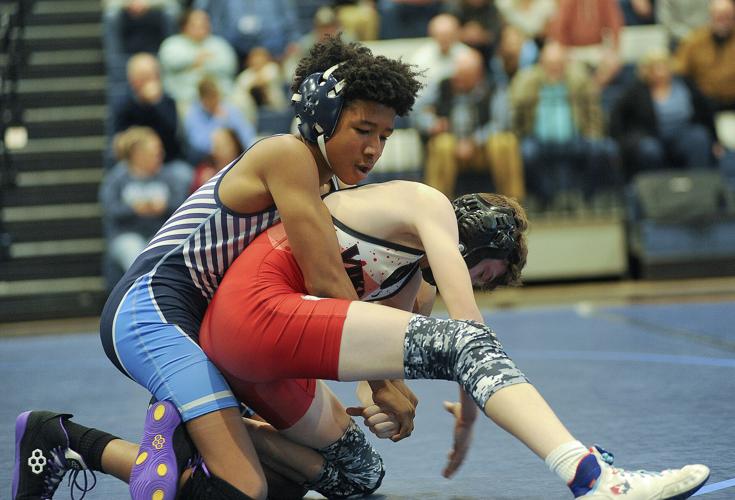 Wolverine wrestling concludes season at WHMSC tournament | Sports ...