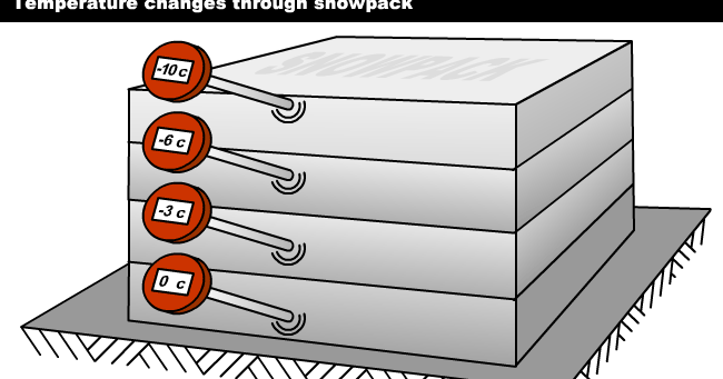 Dear Naturalist: Life in the subnivean layer | Mountain Times ...