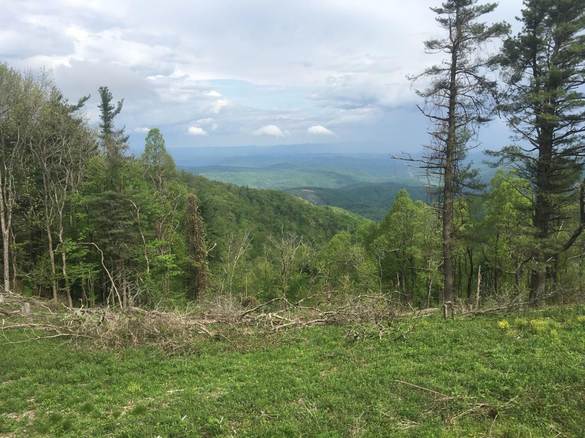 Thunder Hill Overlook acquired by Conservation Trust for NC | News ...