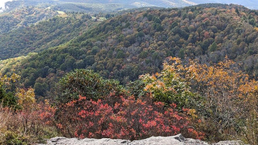 Fall Color Report: Oct. 16 | Local News | wataugademocrat.com