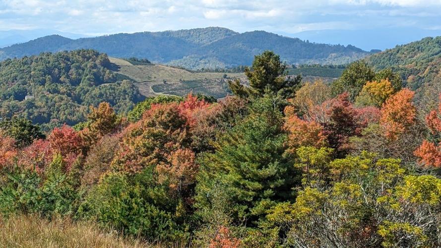 Fall Color Report: Oct. 16 | Local News | wataugademocrat.com