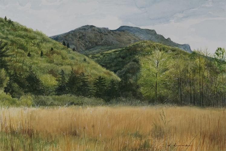 Jason Drake paintings on exhibit in Blowing Rock | Mountain Times ...