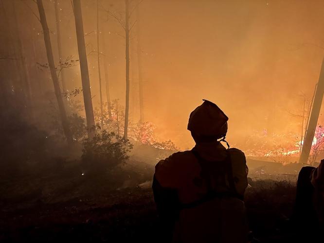 Fire under investigation after more than 200 acres burned in Powder ...