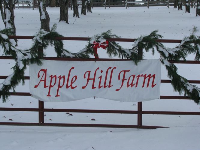 Christmas at Apple Hill Farms begins | Mountain Times | wataugademocrat.com
