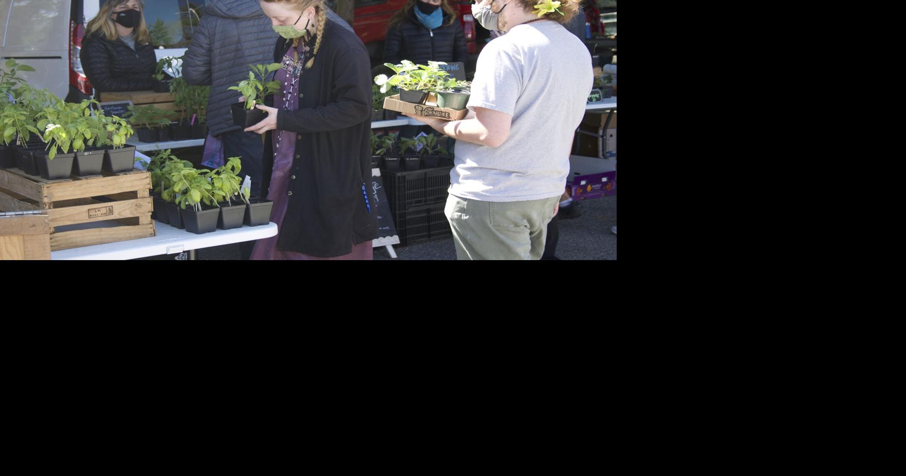 Watauga County Farmer's Market opens for 2021 season | Community ...