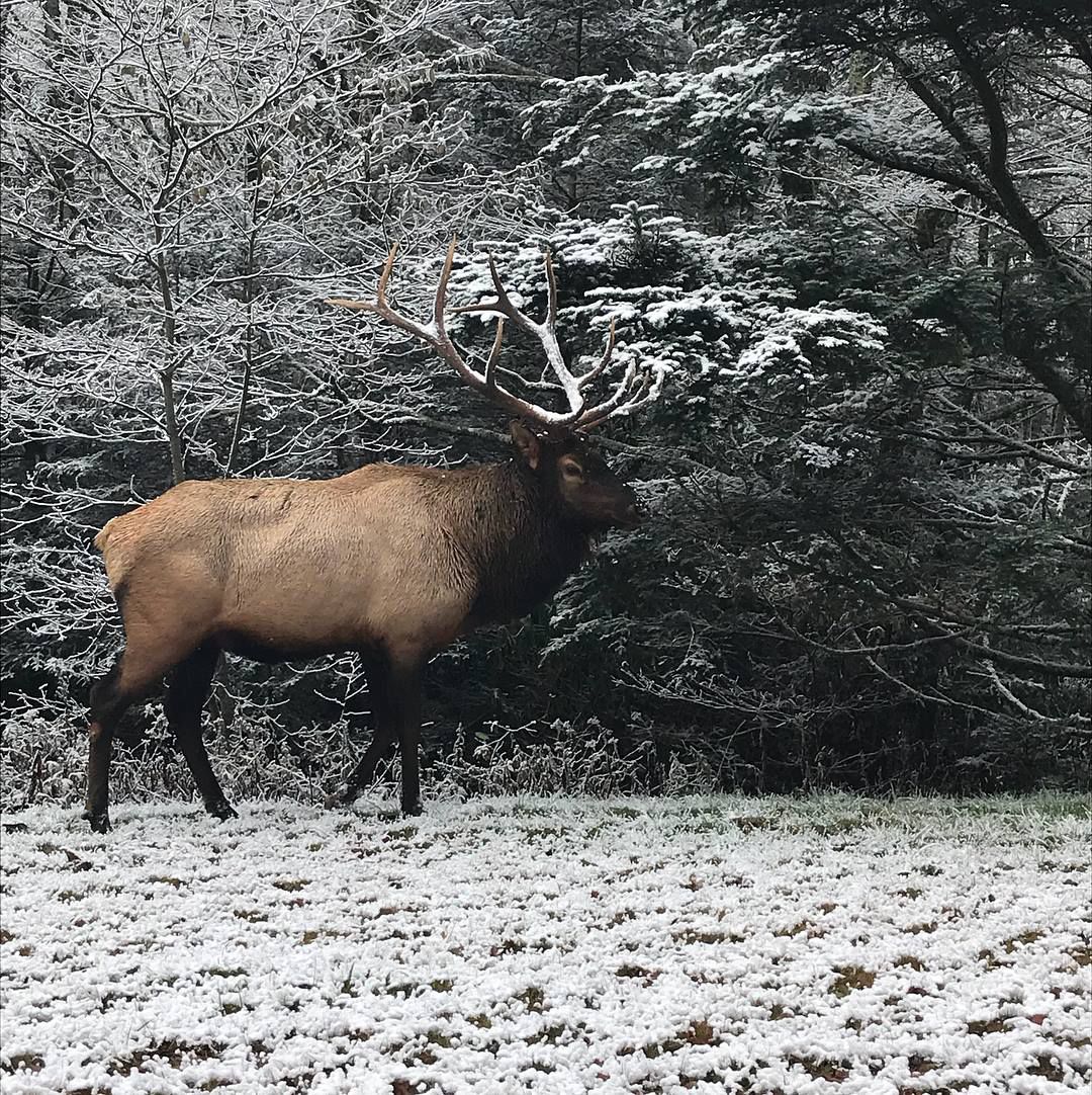 Blue Ridge Parkway: A hidden winter gem | | wataugademocrat.com