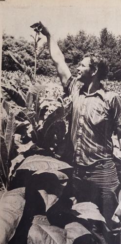 This week in the archives: Horn premiers, Parkway expansion meeting ...