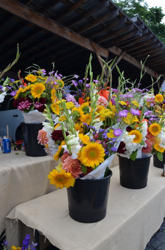 Watauga County Farmers Market celebrates pollinators | Mountain Times ...