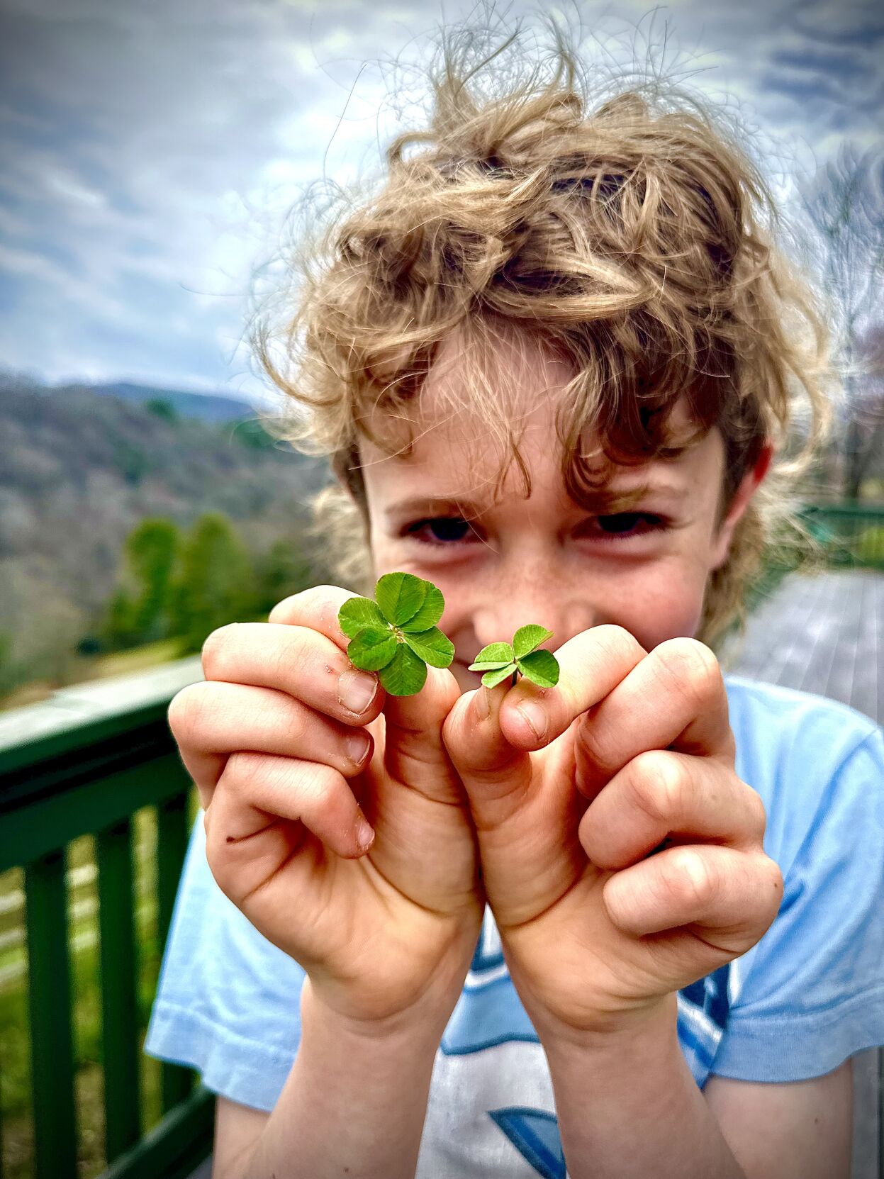 Local 10-year-old finds rare six-leaf clover | Community ...