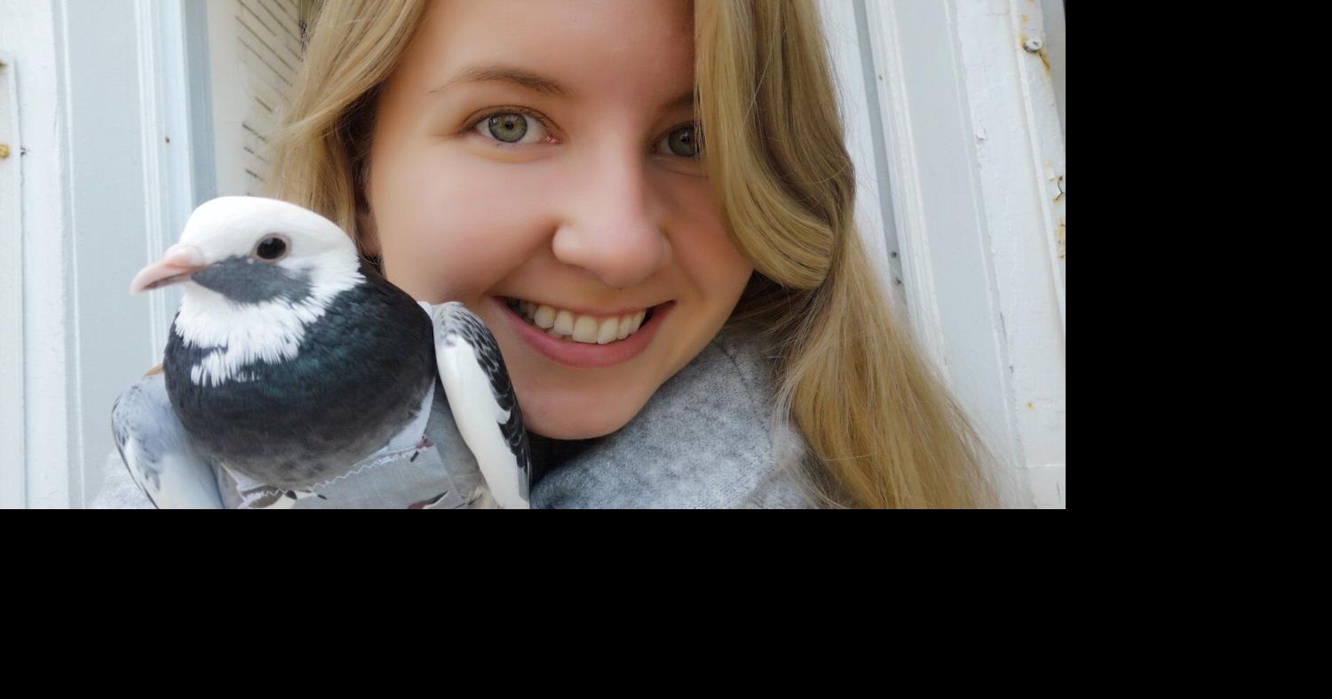 How this Waterloo region rescuer took homeless pigeons under her wing ...