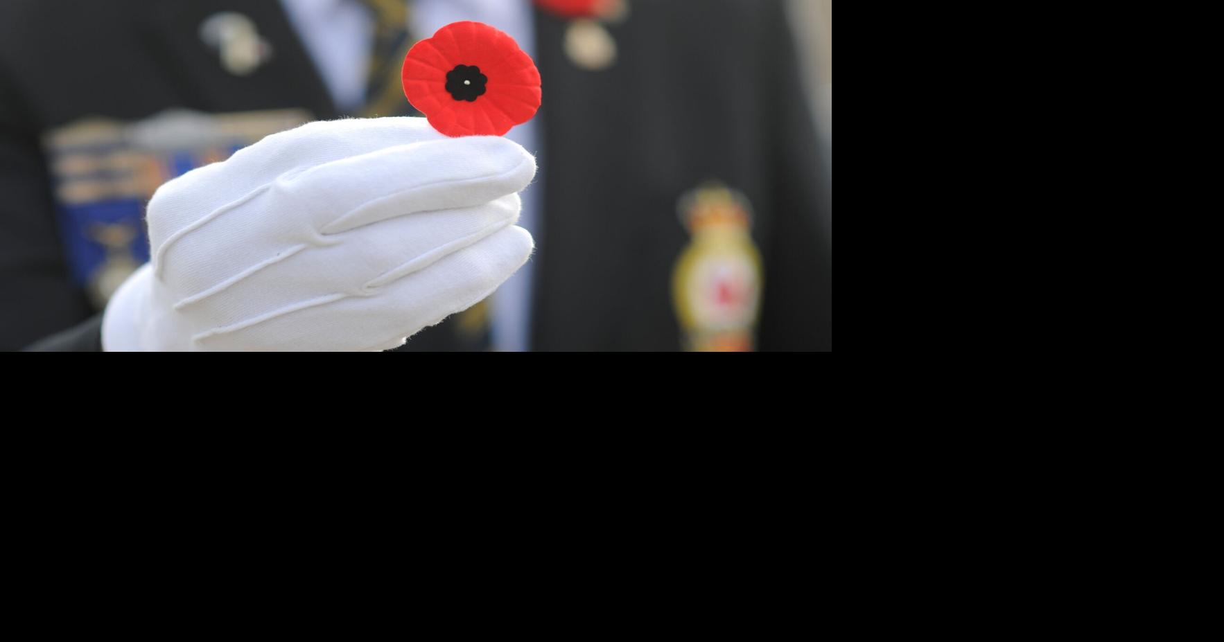Mark Remembrance Day at cenotaph or via live stream in Waterloo