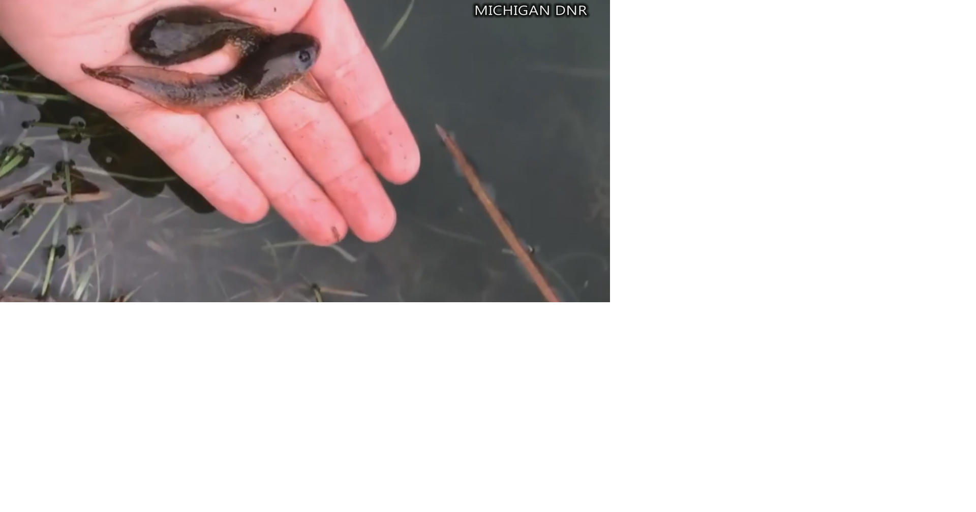 Michigan EGLE celebrates Earth Day with a livestream for students ...