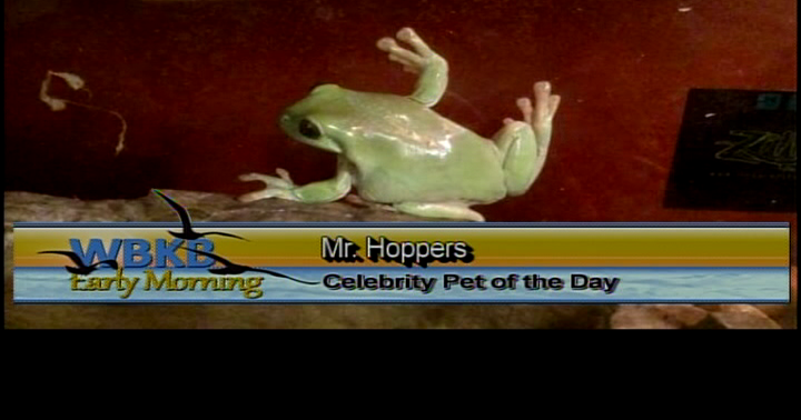 Pet of the Day: Meet Mr. Hoppers | Archives | wbkb11.com