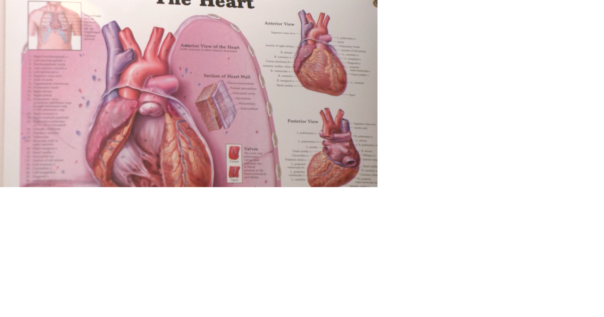 Mid-Michigan Health cardiologist explains the importance of American ...