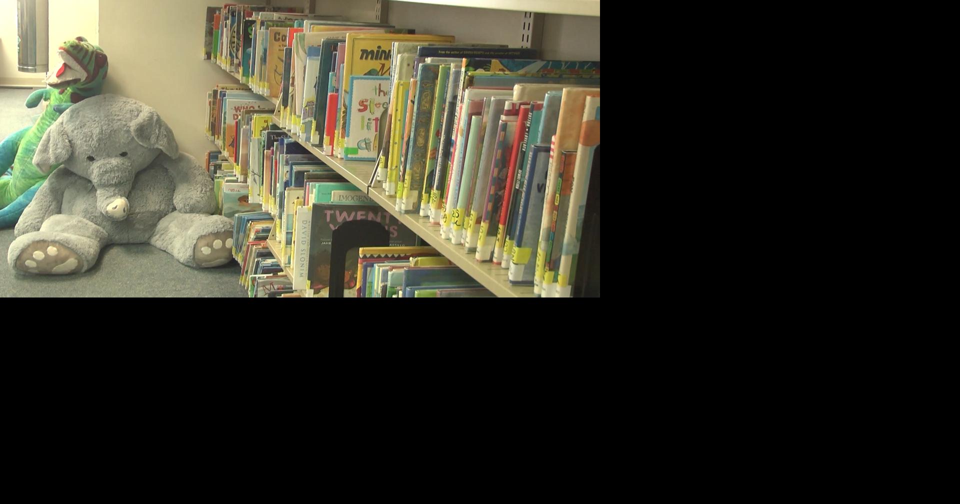 Alpena County Library to hold children’s summer book program | Local ...