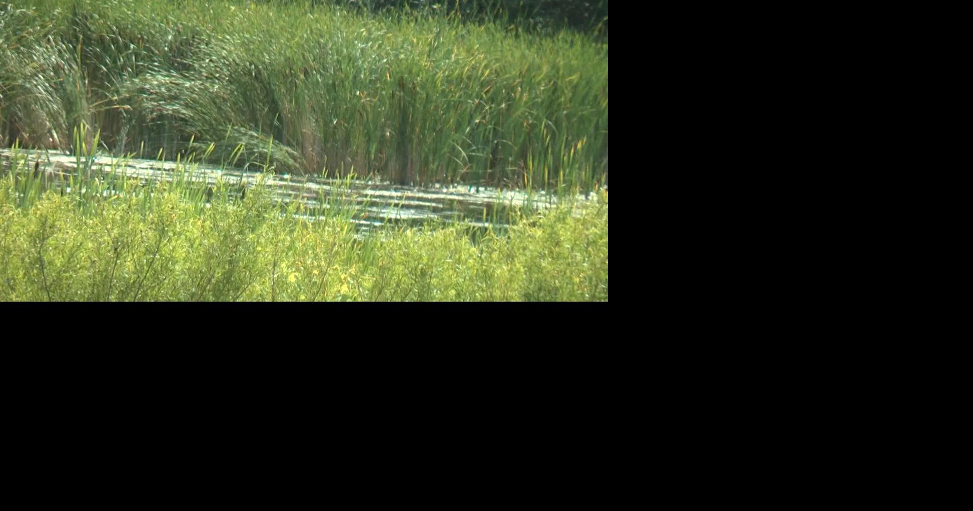 Alpena River Center still years away | Local News | wbkb11.com