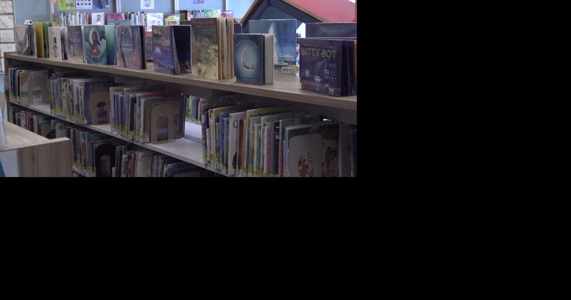 Reading Comprehension Declining in Children | Education | wbkb11.com