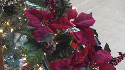 Alpena Salvation Army Applications For Christmas Assistance Start ...