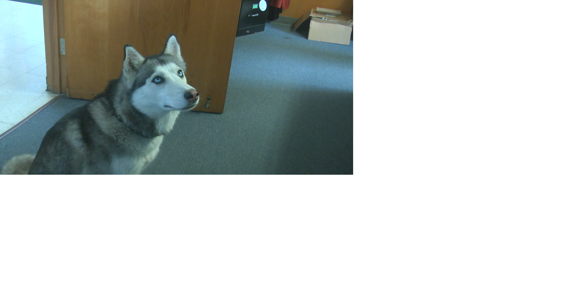 Unique position at Alcona County Jail | Local News | wbkb11.com