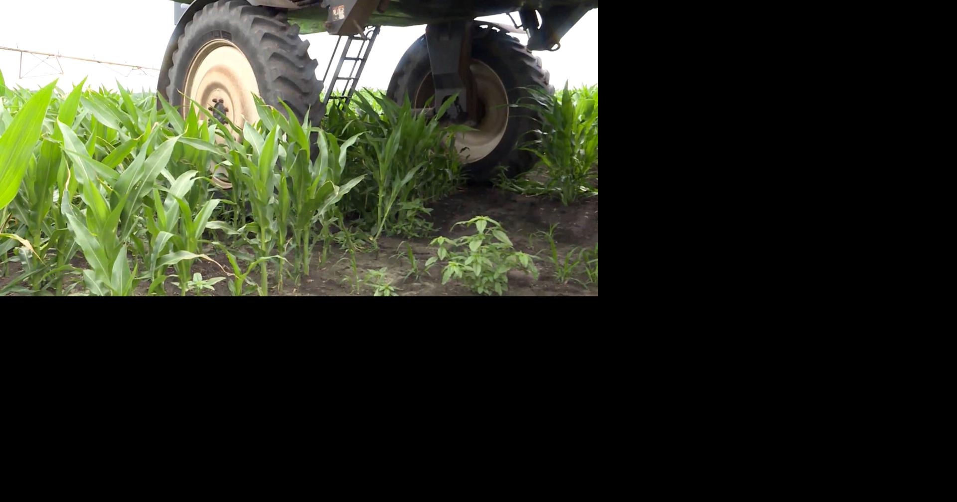 Relief is available for Michigan farms and agricultural processors ...