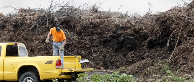 Waterloo yard waste site getting overwhelmed