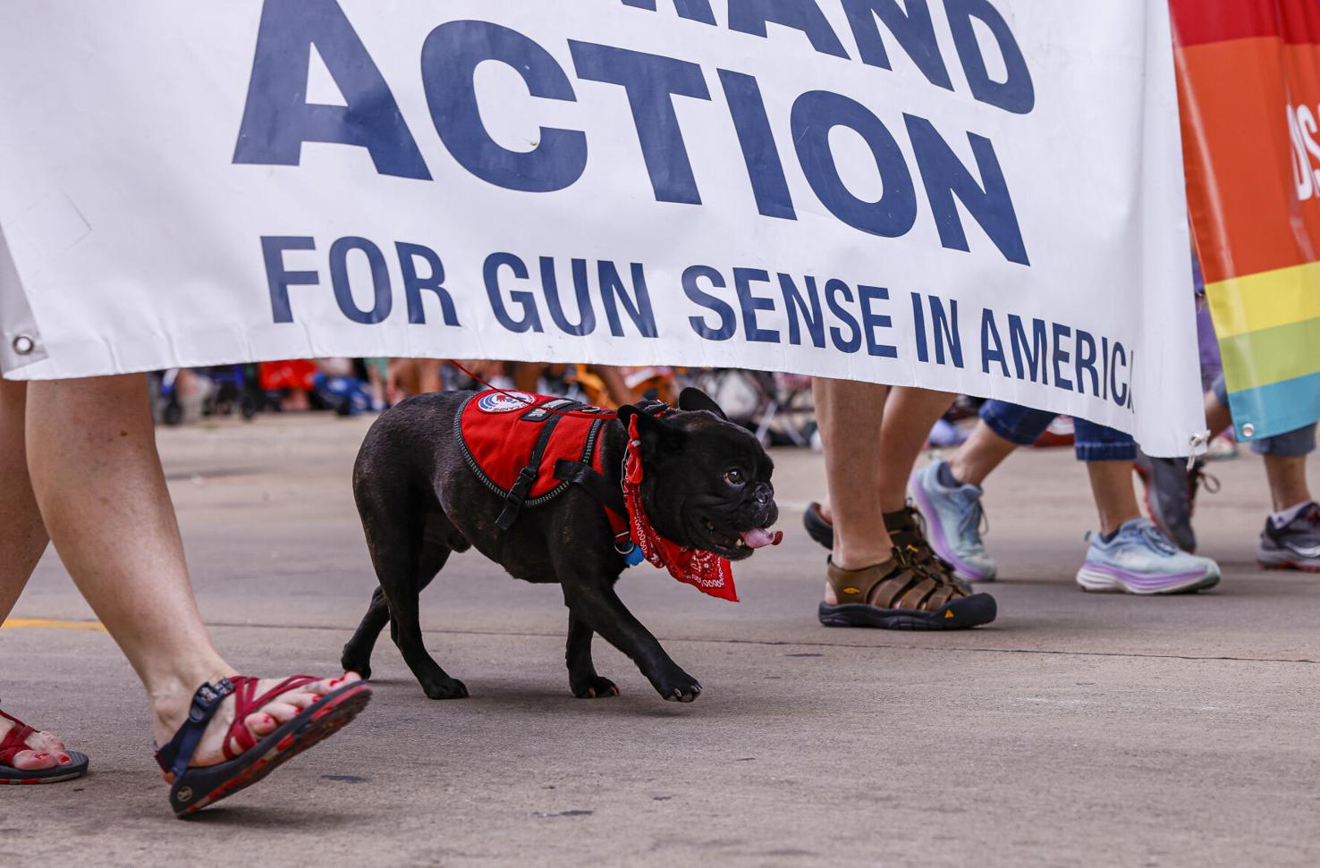 My Waterloo Days announces full schedule for June 5-8 fest