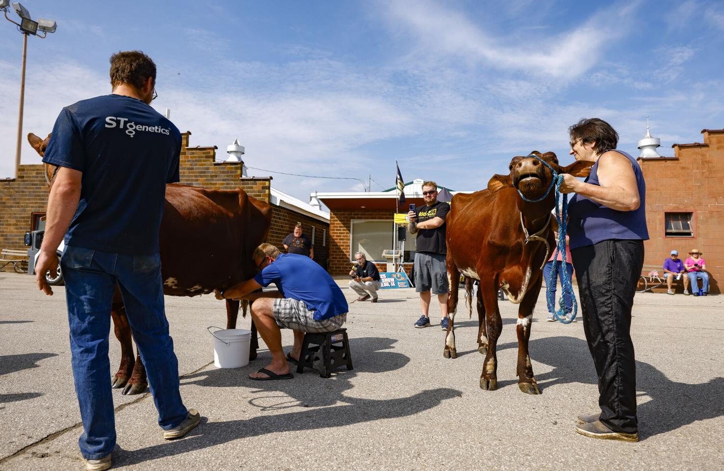 Cattle, contests and kids were all part of the 115th National Cattle ...