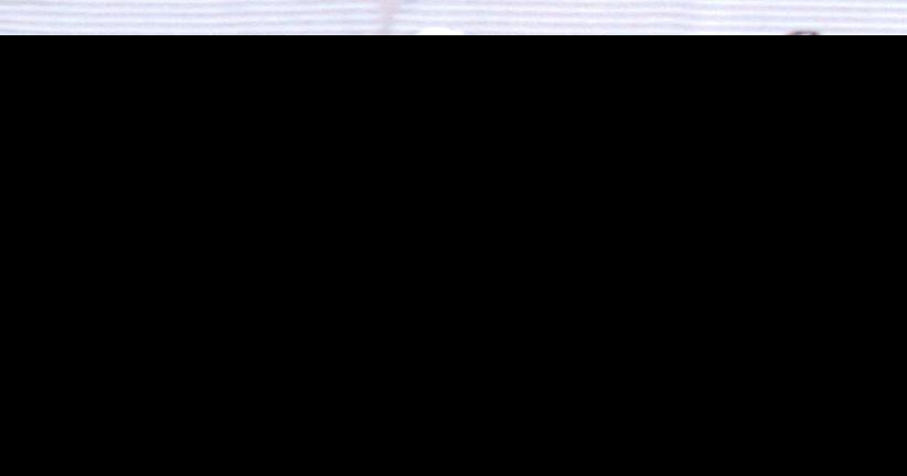 Bruce Eugene Diestler