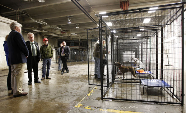 Waterloo OKs animal pact with Cedar Falls