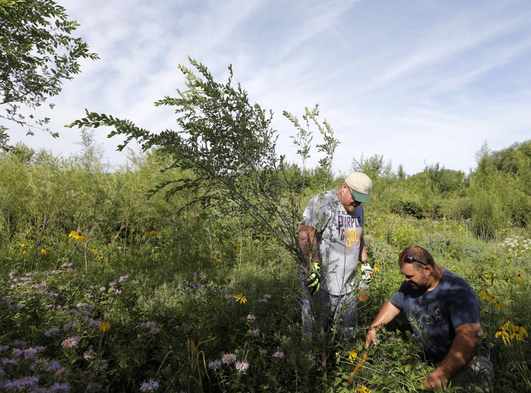 'Externships' give teachers experience in STEM fields