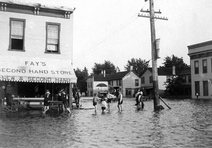 Blight infecting oaks in northern Iowa