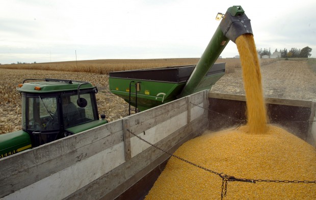 Boost in corn checkoff fee up for vote July 10