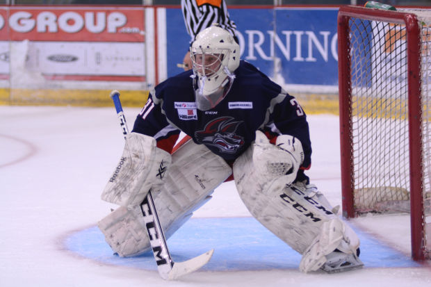 Niedert living a pro hockey odyssey