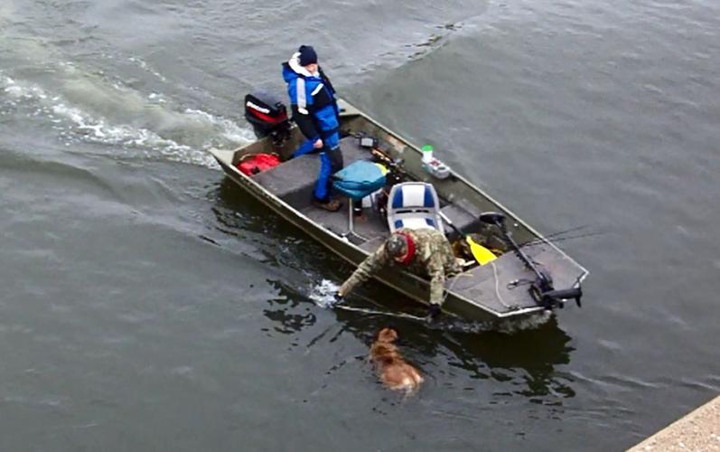 VIDEO: Fishermen rescue dog from frigid river