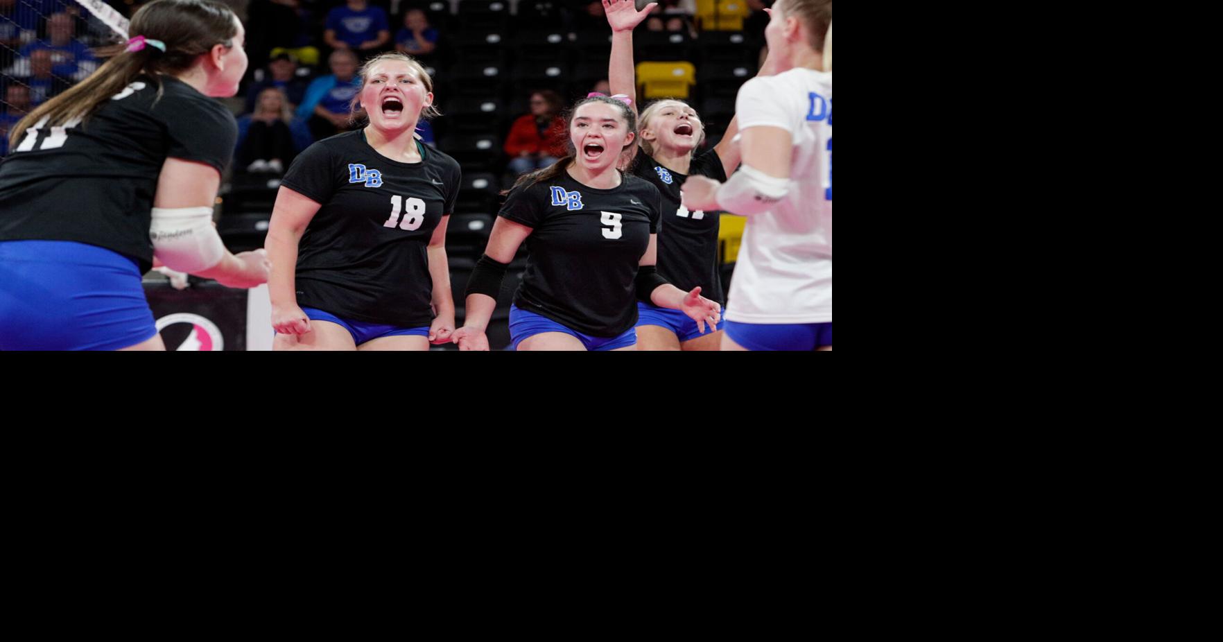 High School State Volleyball: Capsules of area qualifiers