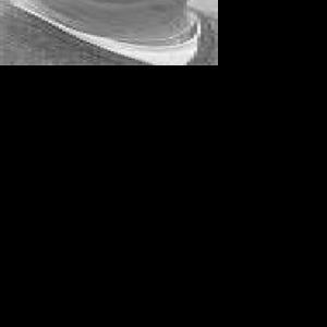 Harry Reginald “Skip” Holton Jr.