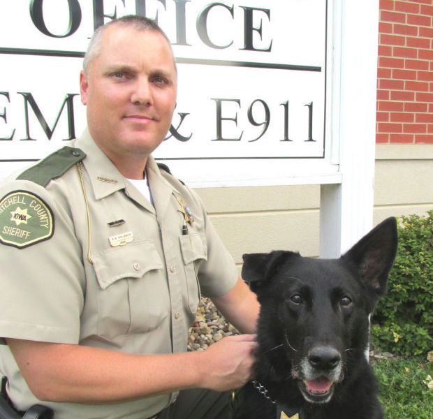 Stacyville man accused of police dog interference loses appeal