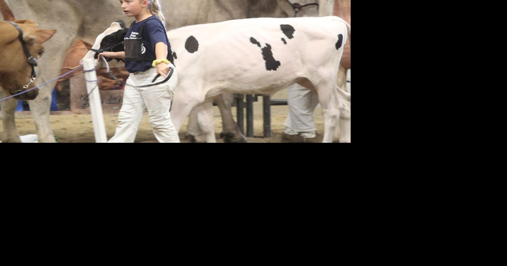 Supervisors OK $75,000 in National Cattle Congress funding