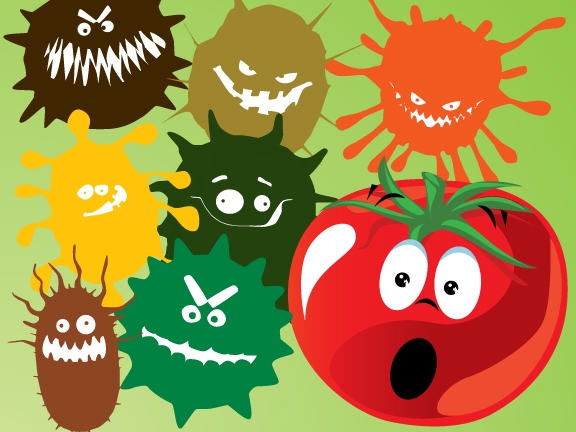 Tomato invaders: How to repel diseases and pests that attack America's ...