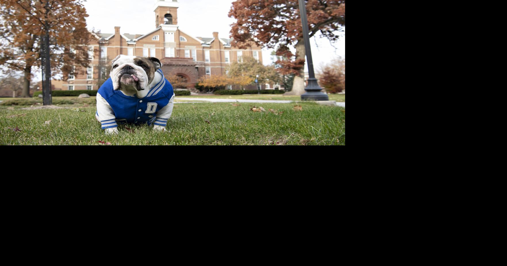 Drake University retiring beloved bulldog mascot Griff II