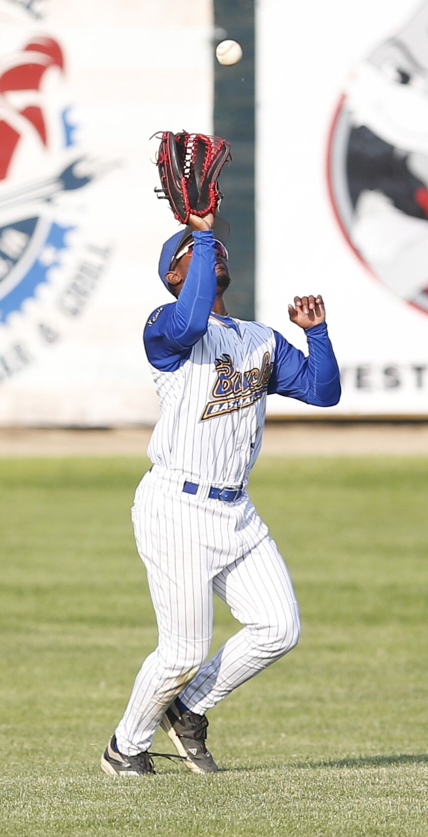 Northwoods League: Wins keep piling up for Waterloo Bucks