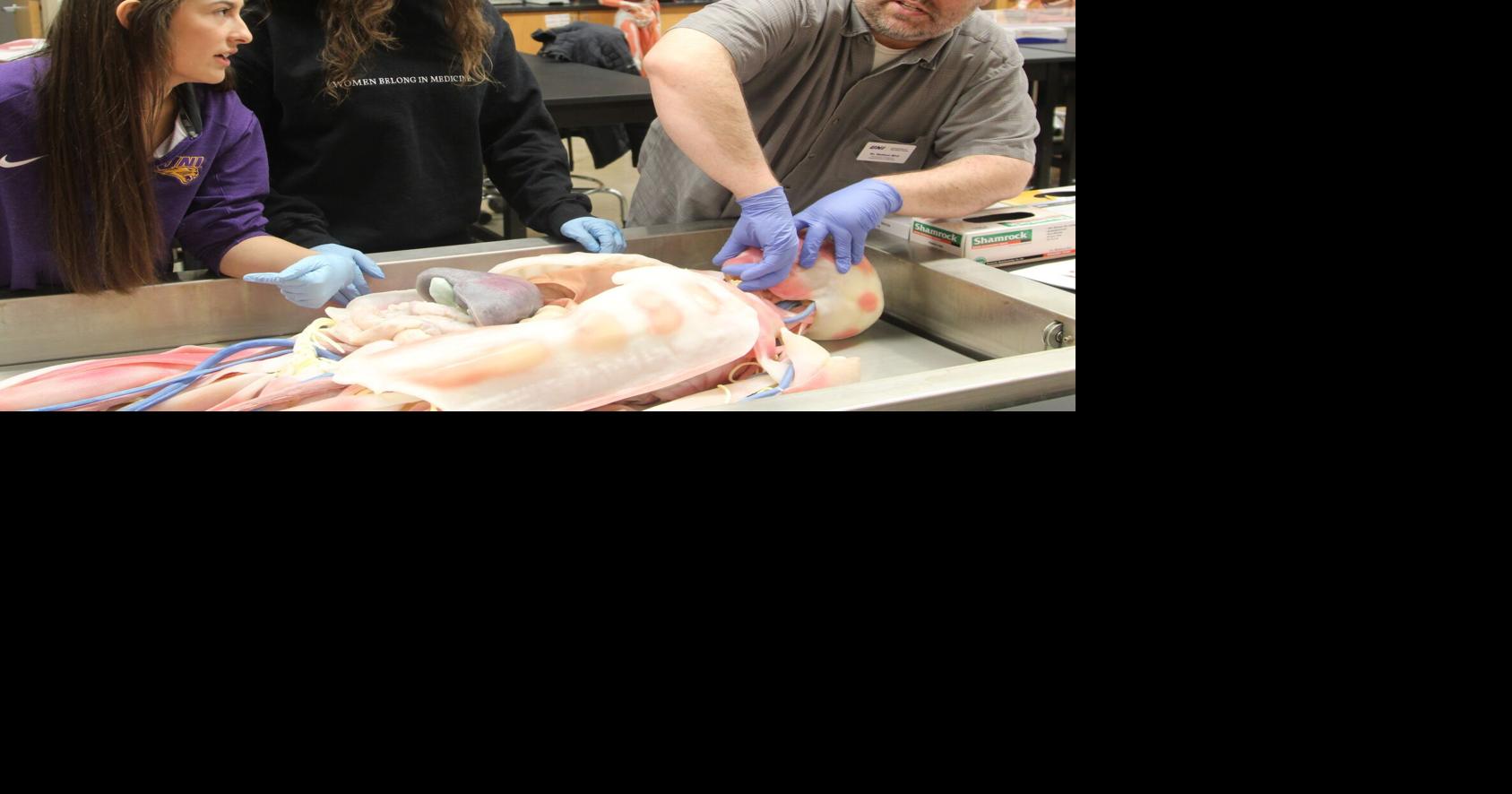 Synthetic cadavers bodies "revolutionize" UNI biology labs