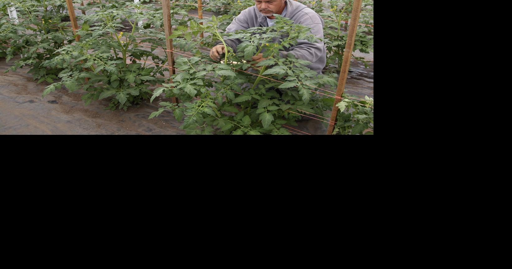 Heartland Farms expands its local produce menu