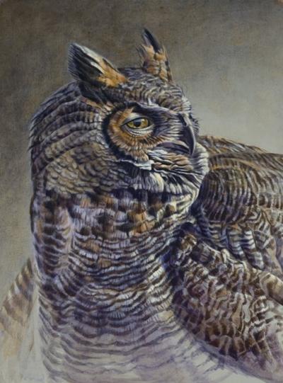 Hartman Reserve to welcome first artist-in-residence