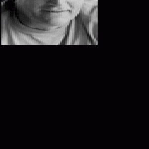 Michael L. Anderson (1948-2006)